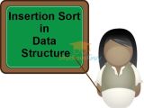 Insertion Sort In Data Structure Studiousguy