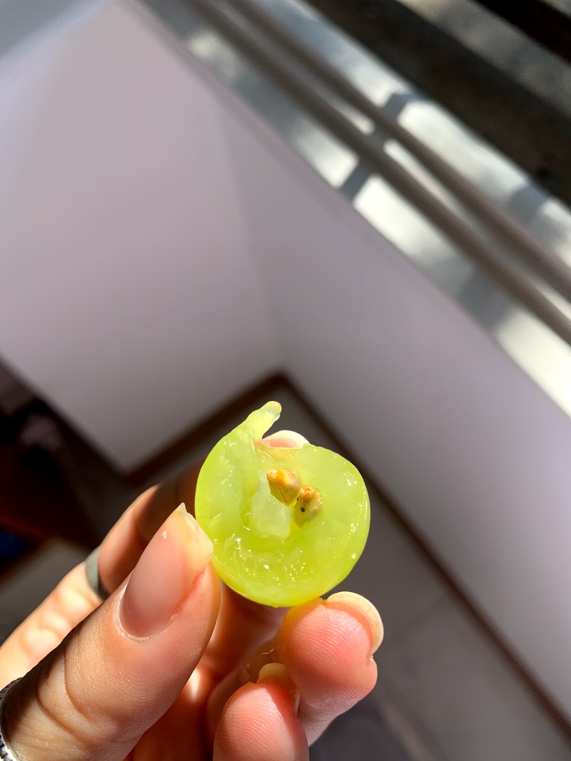 half-grape – Drexel Education Abroad