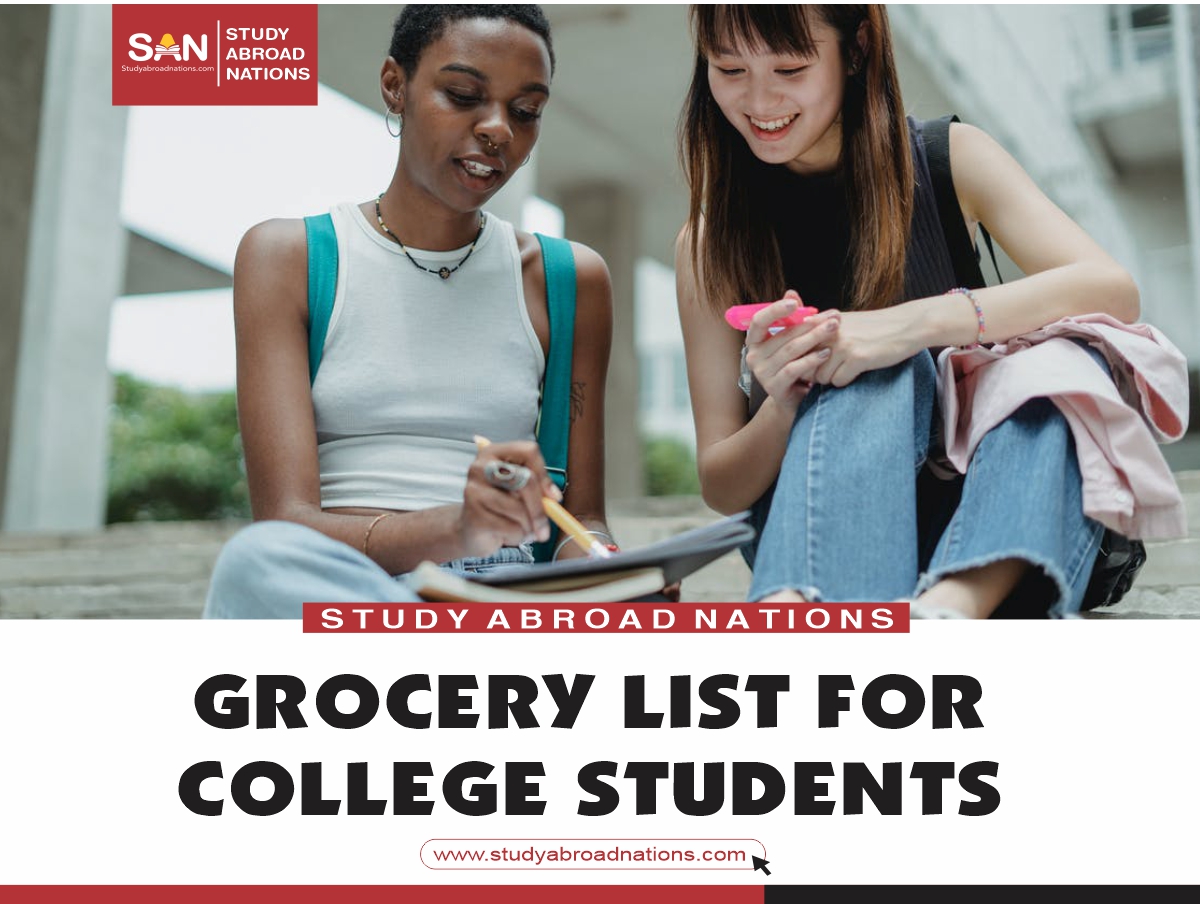 Important Grocery List for College Students 2022