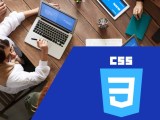 Css Crash Course For Beginners Studybullet
