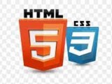 Html Css Basics Studybullet