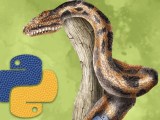 Learn Python And Become Professional Python Developer Studybullet