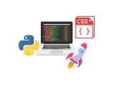 Learn Web Design Python And Mysql Bootcamp Studybullet