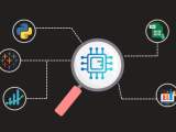 Data Science Mastery 2025 Excel Python Tableau Studybullet