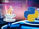 Java Python Programming Mastery Learn To Code Like A Pro