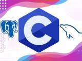 C Programming Masterclass With Mysql Postgresql Database