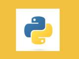 Replit Python Programming Python Bootcamp Data Science Intro