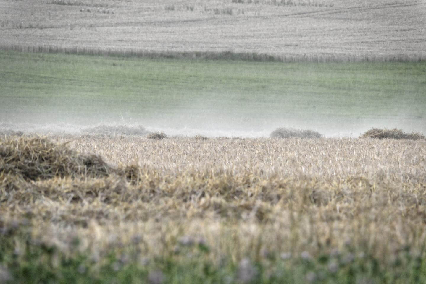 Climate of modern-day Europe mimics the climate of 14th century Europe