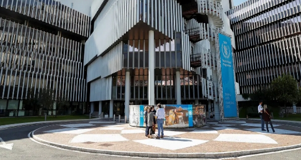 World Food Programme (WFP) Internship Programme for Female Students and ...