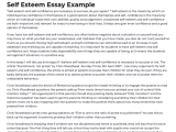 Self Esteem Essay Example Studyhippo