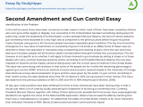 Second Amendment And Gun Control Essay Studyhippo