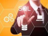 Sql Database Administrator At Qls Level 5 Online Course Certification