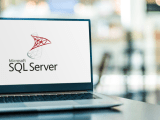Microsoft Sql Server Development For Everyone Studyhub