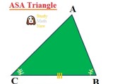 Asa Triangle Definition Theorem Examples
