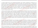 Homework Assignment Free Essay Example
