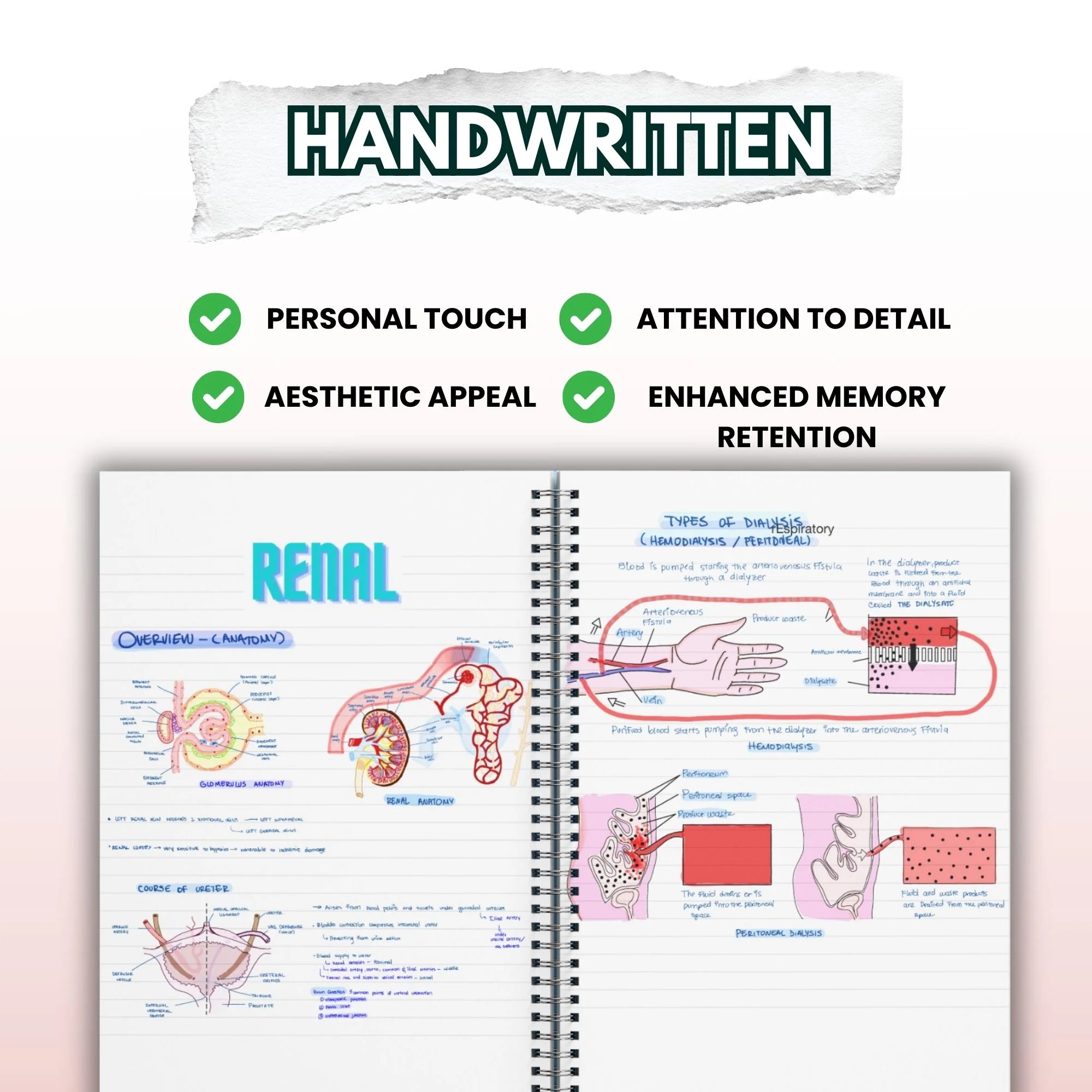 Complete Study Guide Bundle For Nursing Students Updated