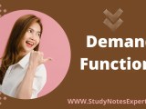 Demand Function