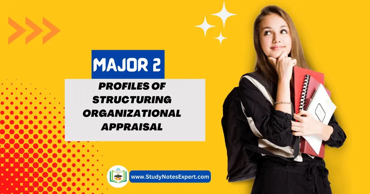 Major 2 Profiles of Structuring Organizational Appraisal