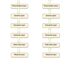 Computer Network Model