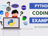 Python Programming Examples Studyopedia