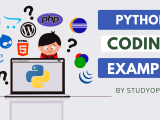 Python Programming Examples Studyopedia