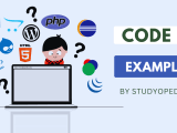 Code Examples Studyopedia