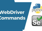 Studysection Blog For Selenium Webdriver Using Python Tutorial
