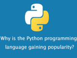 Studysection Blog Why Is The Python Programming Gaining Popularity