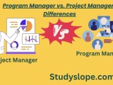 Program Manager Vs Project Manager Differences