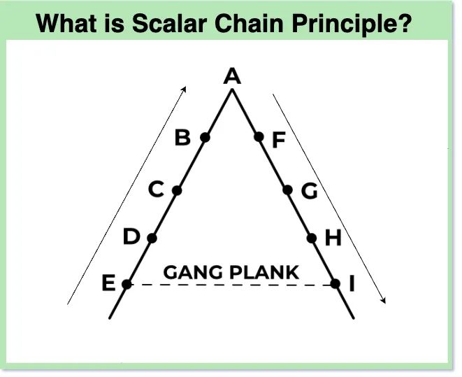 What is scalar chain principle of management principle?