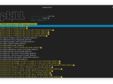 Using Npkill