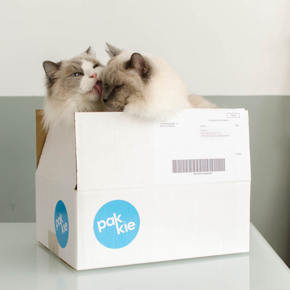 Tweedehands online (ver)kopen, een makkie met Pakkie - Styled by Sabine