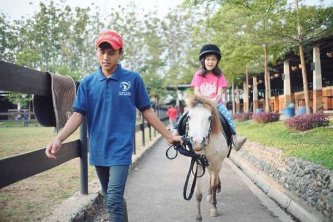 Nirwana Stable, Pengunjung Bisa Naik Kuda Sambil Nikmati Pemandangan ...