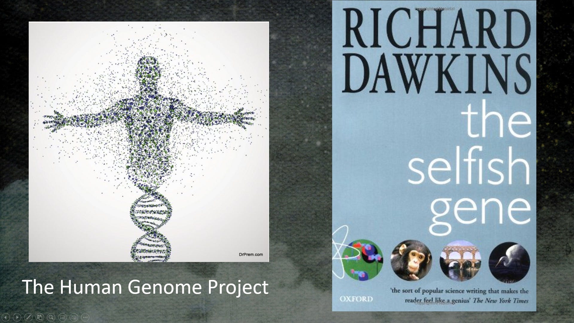 Why H.G. Wells’ World Brain and Yuval Harari’s Hackable Human Will Not ...