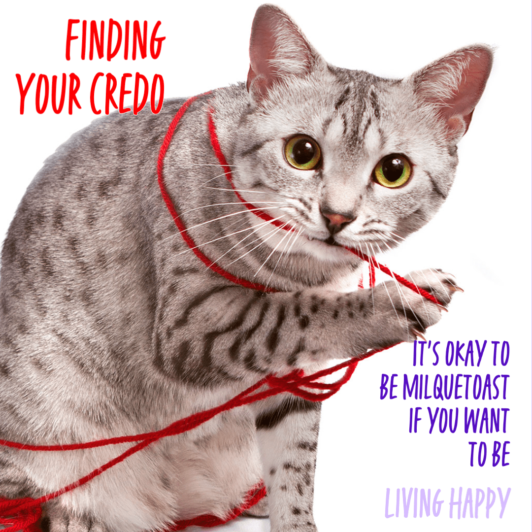 Finding Your Credo – Carrie Jones Books
