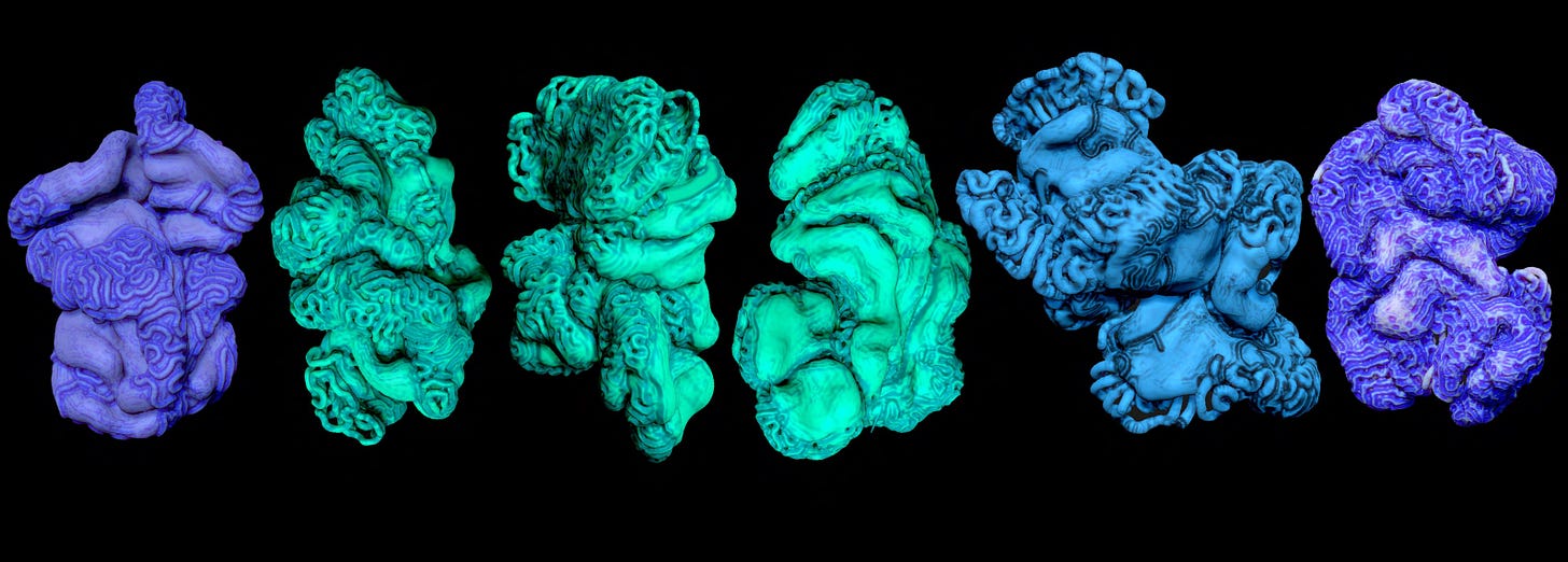 Interspecies Forms: Robotic Feedback Systems Between Mycelia Growth ...