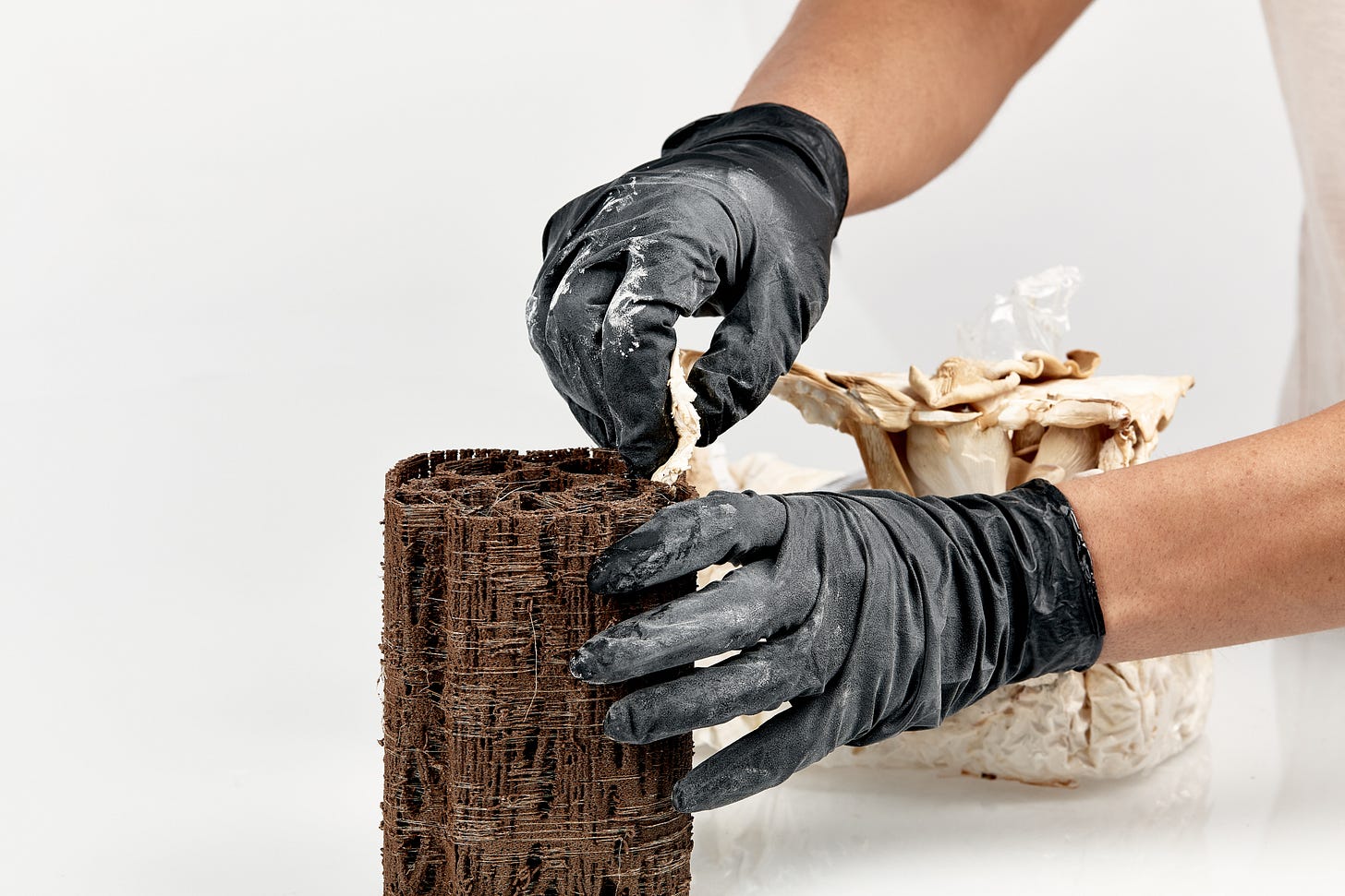 Interspecies Forms: Robotic Feedback Systems Between Mycelia Growth ...