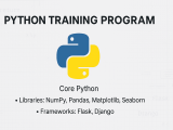 Top 5 Reasons To Learn Python In 2025 Successroottech