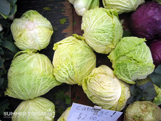 herbs | Summer Tomato