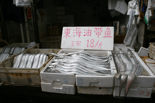 China | Summer Tomato