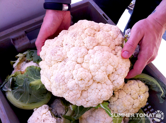 Ferry Plaza Farmers Market | Summer Tomato