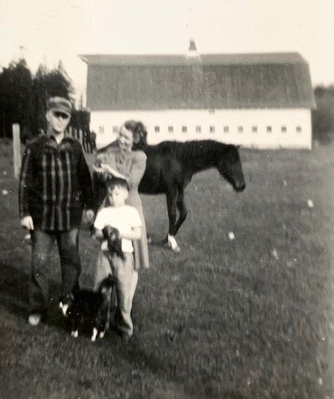 Discover Beautiful Camano: Doc Dodgson’s Farm – Sunnyshore Studio