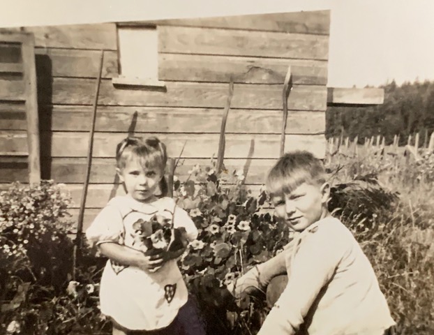 Discover Beautiful Camano: Doc Dodgson’s Farm – Sunnyshore Studio