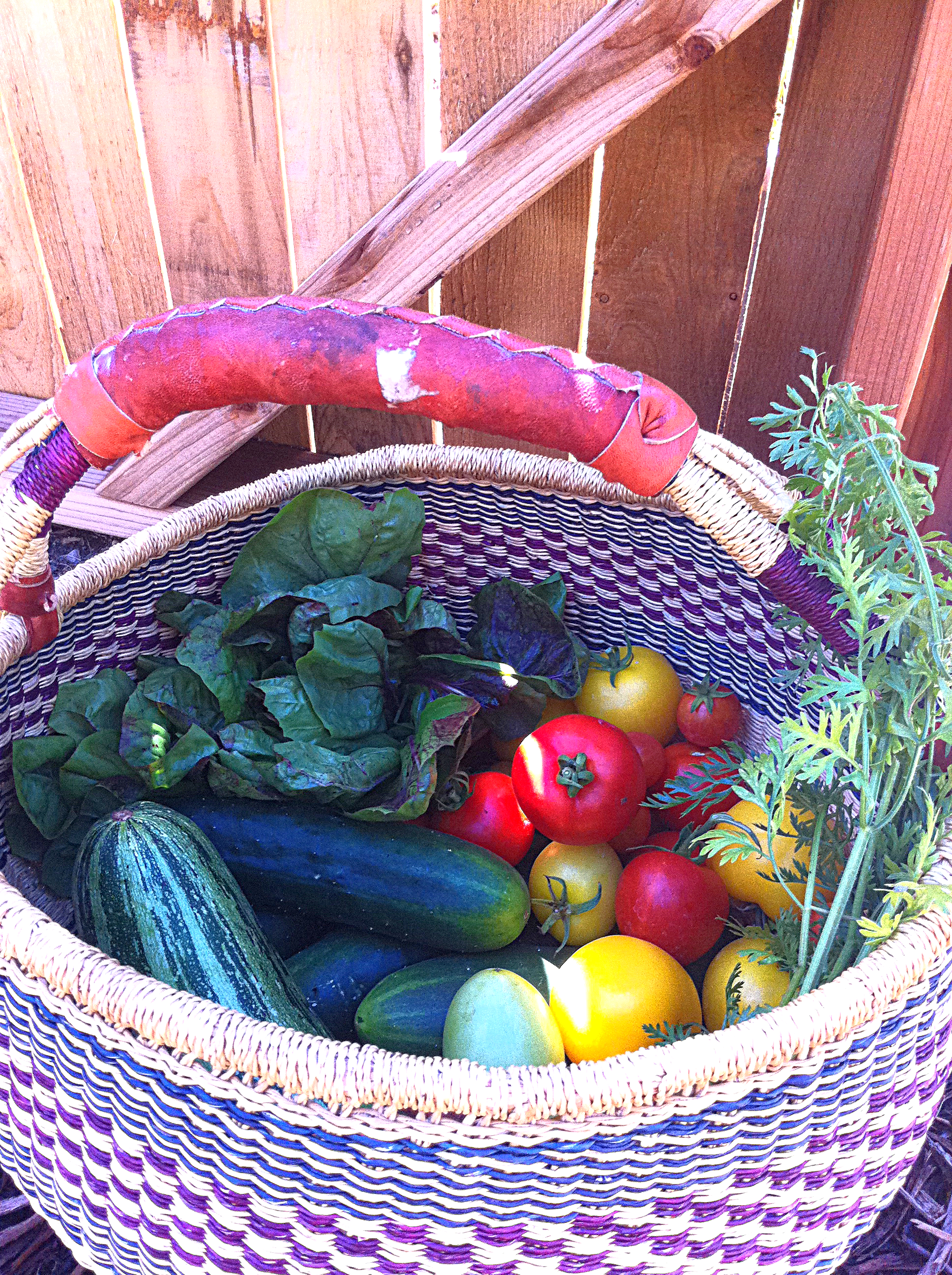 Top Five Reasons Why A Farm Is Great For Families - Sunset Farm NW