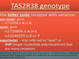 Supertaster Test Are You A Supertaster