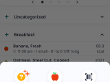 Pro Mobile Client Diary Cronometer