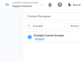 Testing A Custom Synapse In Syncari Syncari