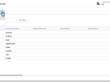 Using Schema Sync Syncari
