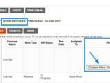 Tutorial Work Records Treeplotter Support