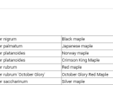 Tutorial Look Up Table Editor Treeplotter Support